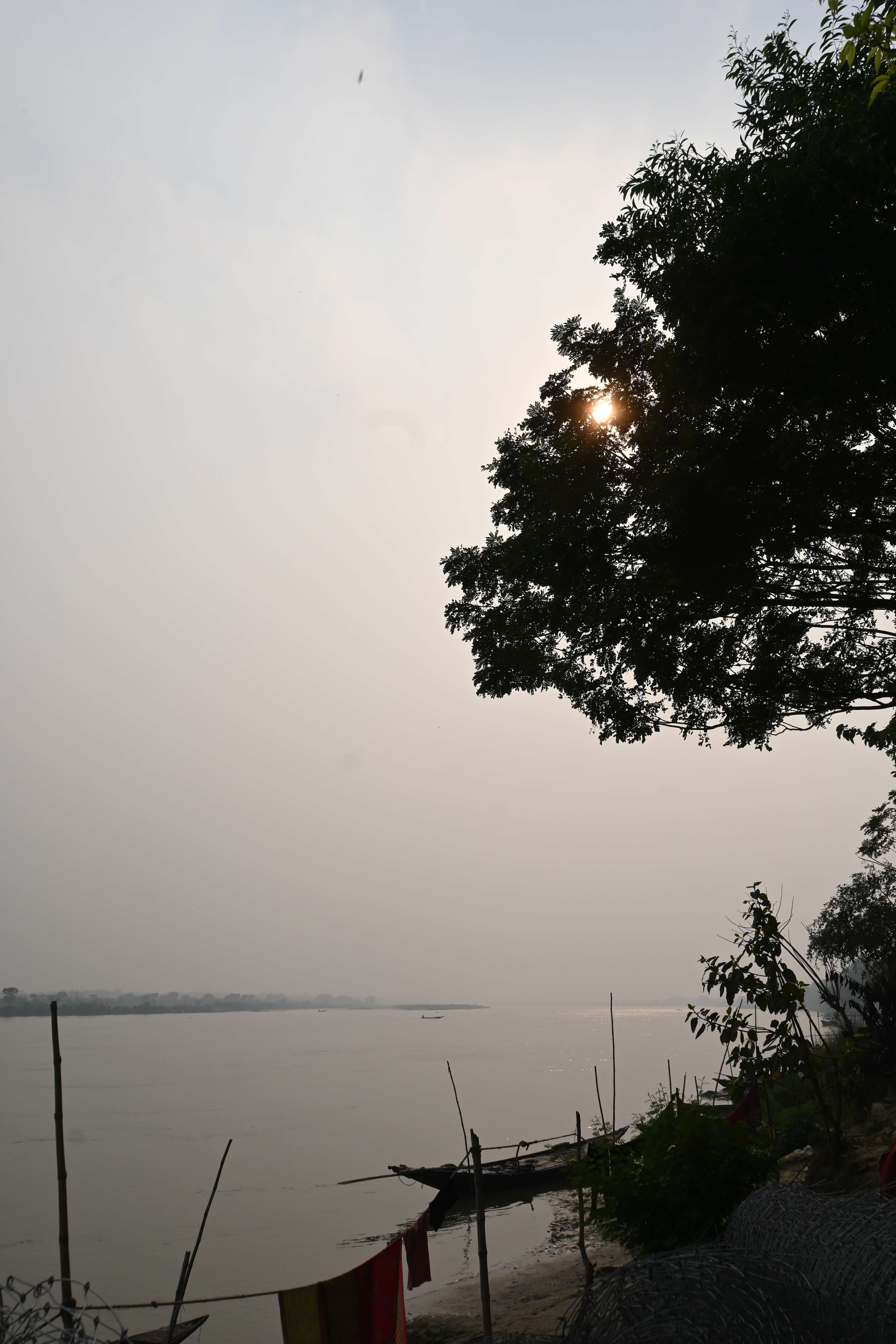 BOOKS 本 – CALICO LLC